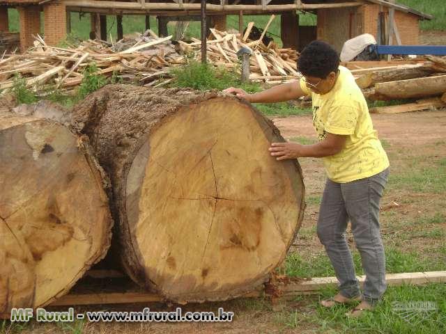 Peroba Rosa em Tapiratiba SP à venda. Compre direto do vendedor 130805
