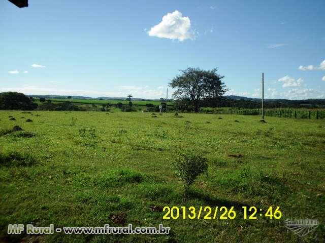 Fazenda de 60 Hectares na Região de Claudinápolis-Go Cod.249 em 116528