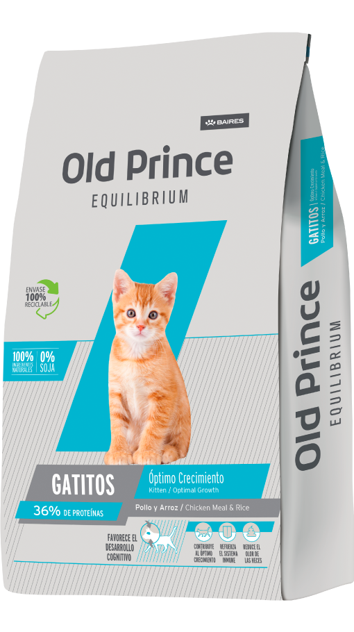 Old Prince Kitten Equilibrium - MisPichos.com