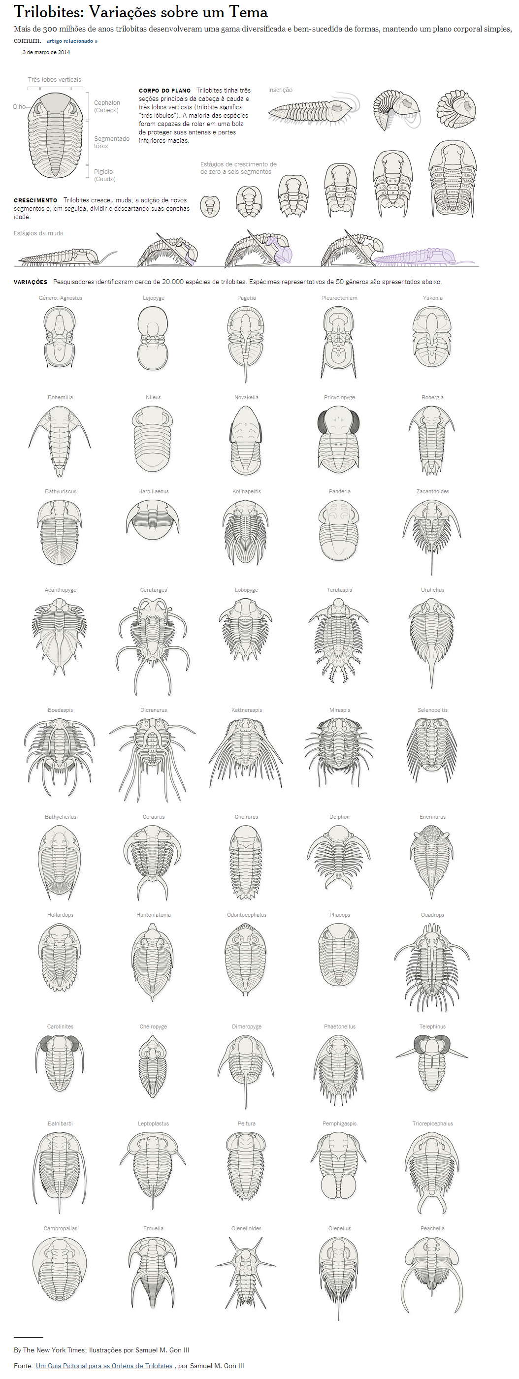 Trilobita: O Animal Que Viveu Há 400 Milhões De Anos Atrás