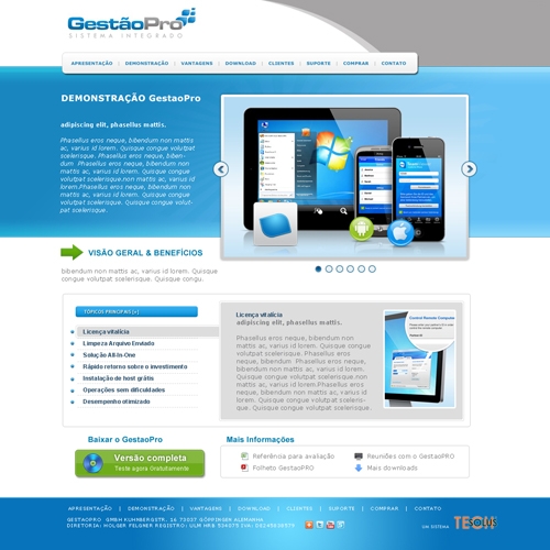 GestaoPRO SITE | Criação de Layout Web-Design Para ERP Software de ...