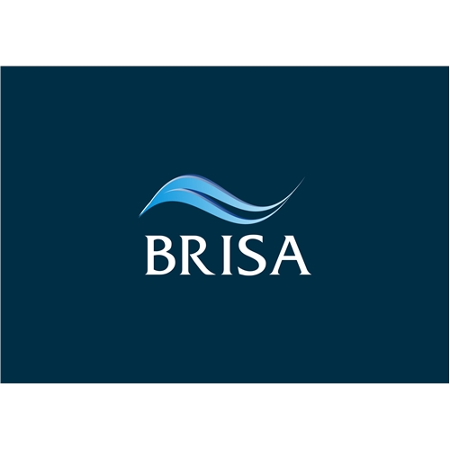 BRISA | Criação de Logo Para Roupas, Jóias & Assessorios