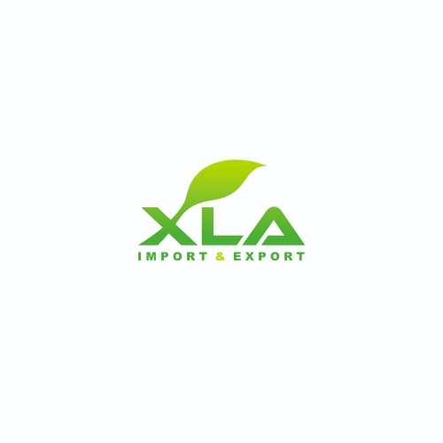 XLA IMPORT & EXPORT | Criação de Logo e Cartao de Visita Para Tecno...