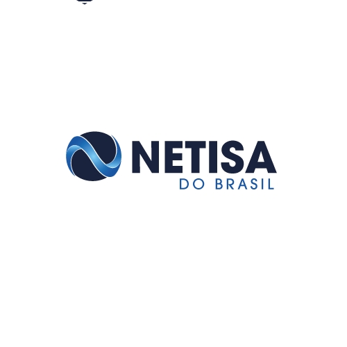 NETISA | Criação de Logo Para Consultoria de Negócios
