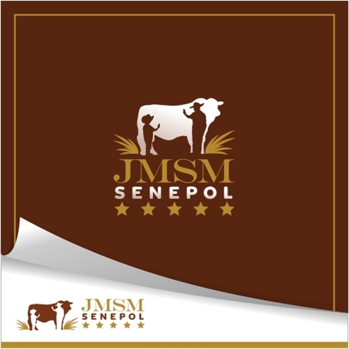 JMSM Senepol | Criação de Logo e Papelaria (6 itens) Para Outros