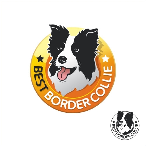 Best Border Collie | Criação de Logo Para Animais