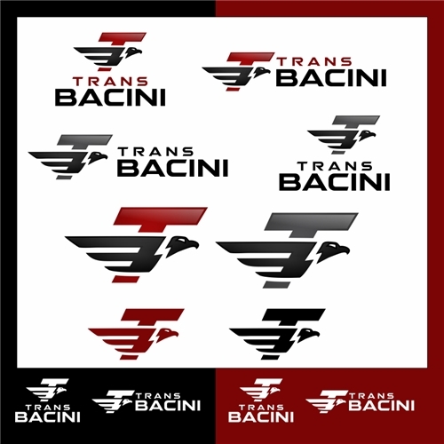 Trans Bacini | Criação de Logo Para Logística, Entrega & Armazenamento