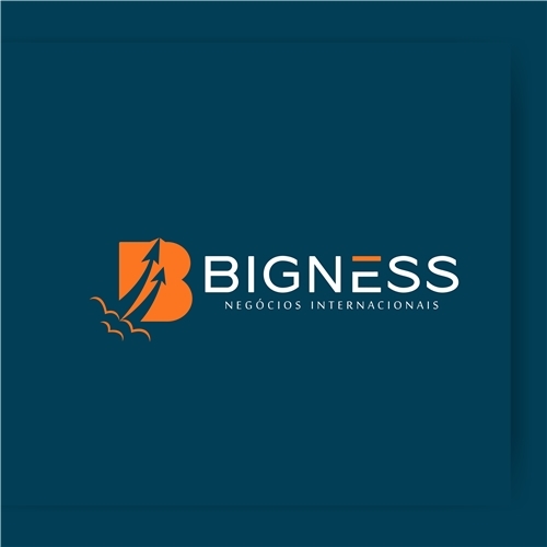 BIGNESS | Criação de Logo e Cartao de Visita Para Consultoria de Ne...