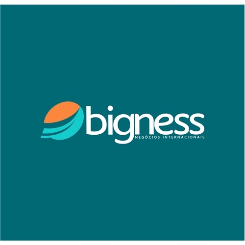 BIGNESS | Criação de Logo e Cartao de Visita Para Consultoria de Ne...