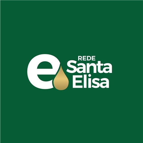 Rede Santa Elisa | Criação de Logo Para Outros