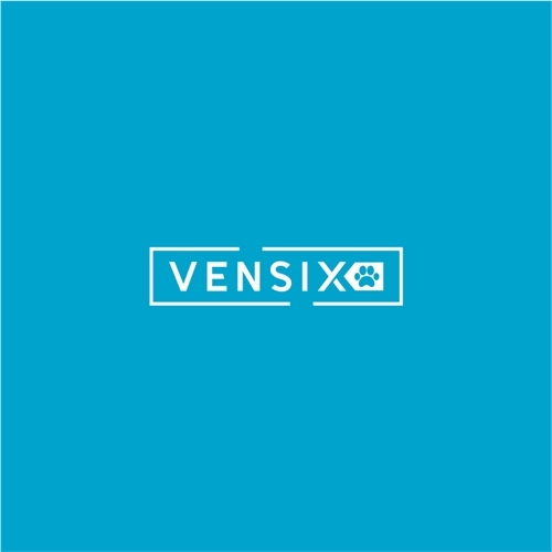 Logo + Papelaria + Manual/Vensix | Criação de Logo e Papelaria (6 i...