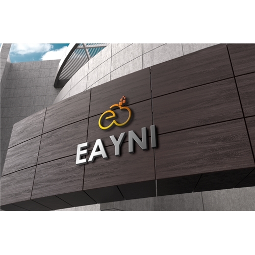EAYNI | Criação de Logo Para Tecnologia & Ciencias