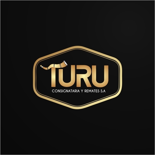 TURU CONSIGNATARIA Y REMATES S.A | Criação de Logo Para Outros