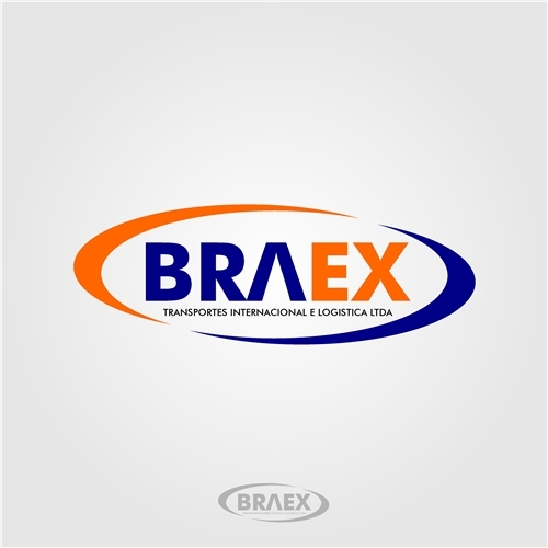 BRAEX TRANSPORTES E LOGISTICA INTERNACIONAL LTDA | Criação de Logo ...