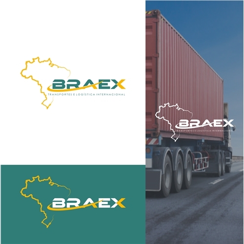 BRAEX TRANSPORTES E LOGISTICA INTERNACIONAL LTDA | Criação de Logo ...