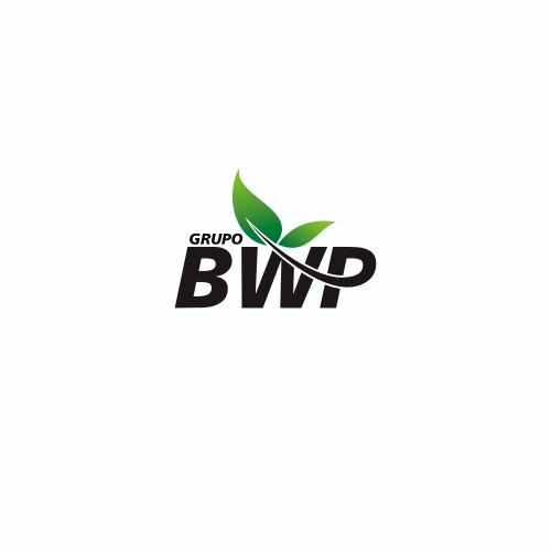 GRUPO BWP | Criação de Logo Para Outros