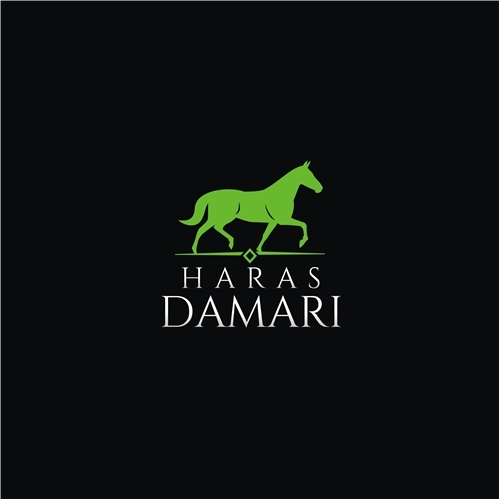 HARAS DAMARI | Criação de Logo Para Outros