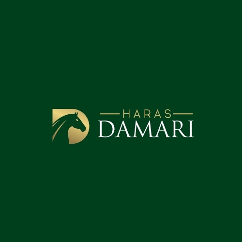 HARAS DAMARI | Criação de Logo Para Outros