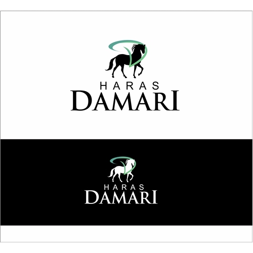 HARAS DAMARI | Criação de Logo Para Outros
