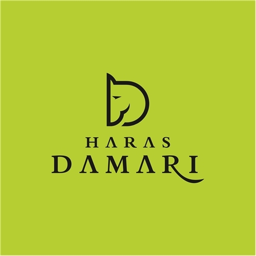 HARAS DAMARI | Criação de Logo Para Outros