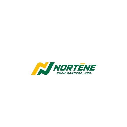 NORTÈNE | Criação de Logo Para Construção & Engenharia
