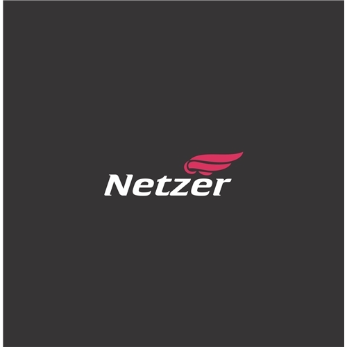 Netzer | Criação de Logo Para Outros