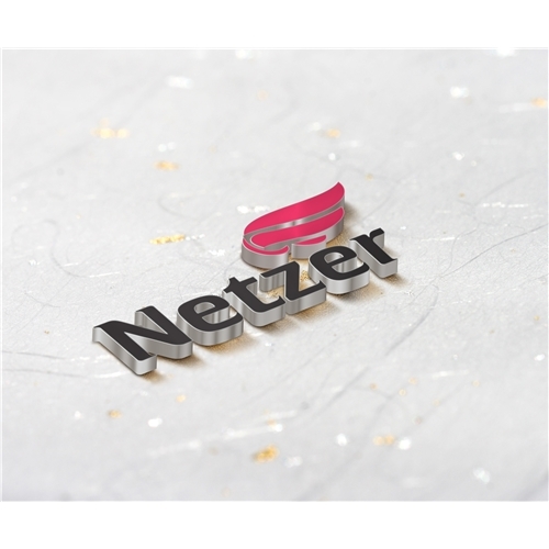 Netzer | Criação de Logo Para Outros