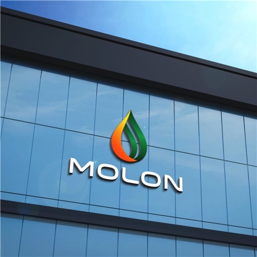 MOLON | Criação de Logo Para Outros