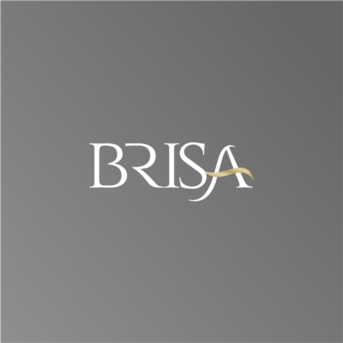 BRISA | Criação de Logo Para Roupas, Jóias & acessórios