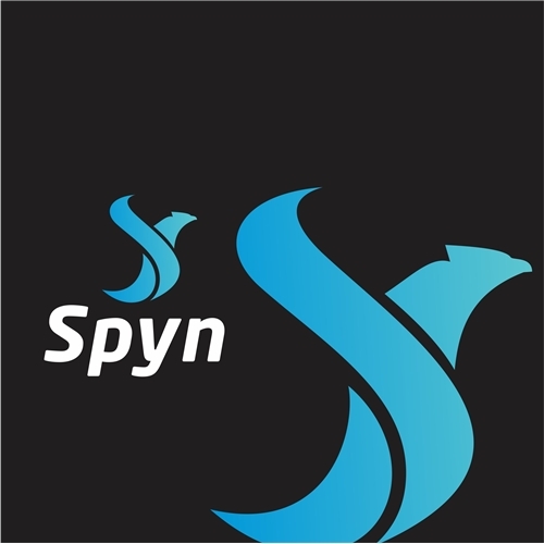 SPYN | Criação de Logo e Papelaria (6 itens) Para Automotivo