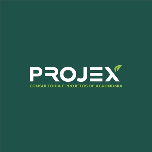 PROJEX | Criação de Logo e Papelaria (6 itens) Para Consultoria de...