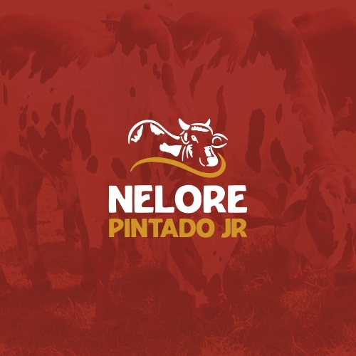 NELORE PINTADO JR | Criação de Logo Para Animais