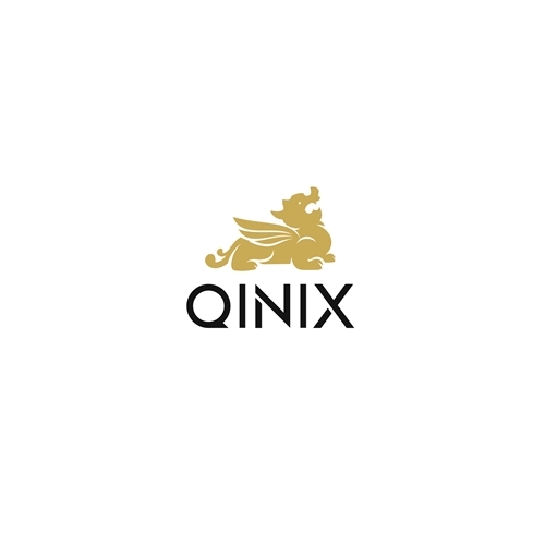 Qinix | Criação de Logo Para Outros