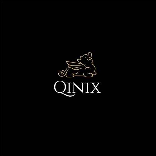 Qinix | Criação de Logo Para Outros