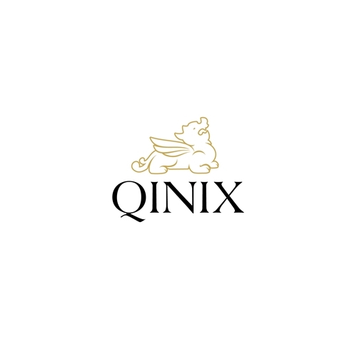 Qinix | Criação de Logo Para Outros