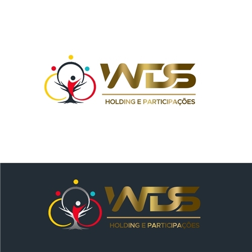 WDS HOLDING E PARTICIPAÇÕES LTDA | Criação de Logo Para Outros
