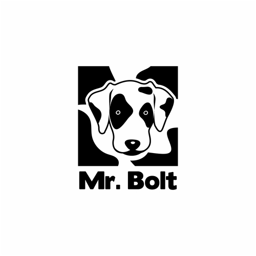 Mr. Bolt | Criação de Logo e Rótulo Para Alimentos & Bebidas