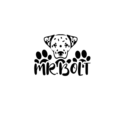 Mr. Bolt | Criação de Logo e Rótulo Para Alimentos & Bebidas