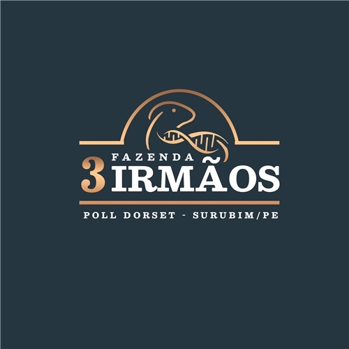 FAENDA 3 IRMÃOS | Criação de Logo Para Animais