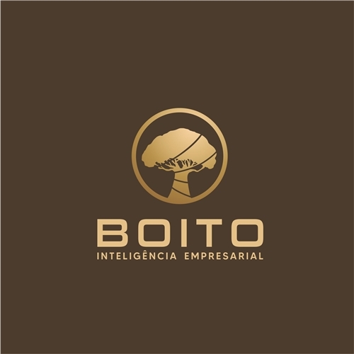 Boito Inteligência Empresarial | Criação de Logo + Papelaria + Manu...