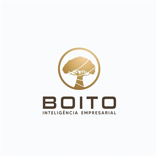 Boito Inteligência Empresarial | Criação de Logo + Papelaria + Manu...