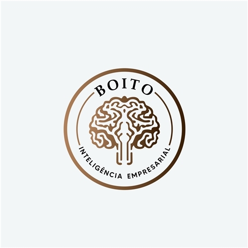 Boito Inteligência Empresarial | Criação de Logo + Papelaria + Manu...