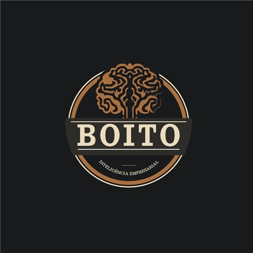 Boito Inteligência Empresarial | Criação de Logo + Papelaria + Manu...