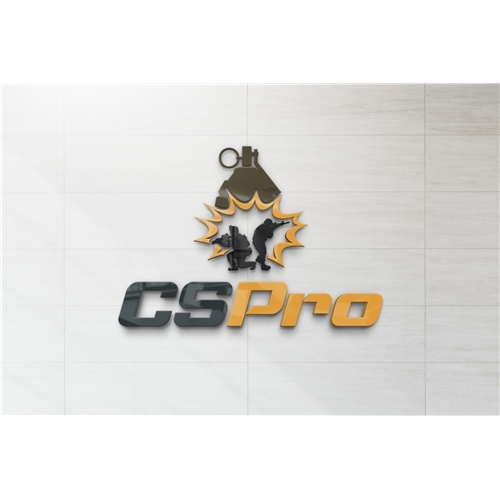 CSPro | Criação de Logo Para Computador & Internet