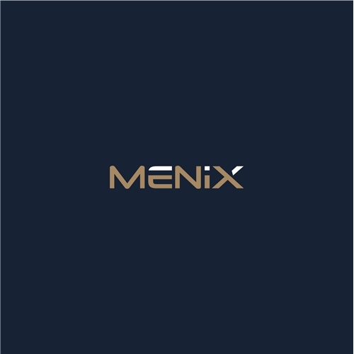 MENIX | Criação de Logo Para Consultoria de Negócios