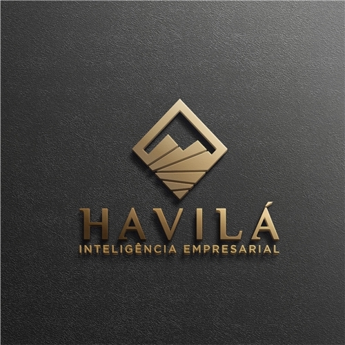 Havilá inteligência empresarial LTDA | Criação de Logo Para Consult...