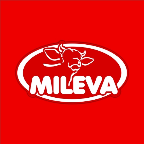 Logo para MILEVA | Erondesign 6650930