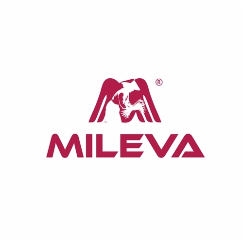 Logo para MILEVA | Mheloart.. 6651322