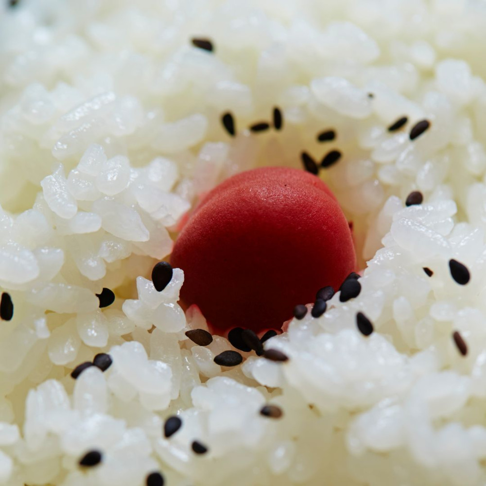 UMEBOSHI UMEZUKE CASA FORTE AMEIXA EM CONSERVA 500G