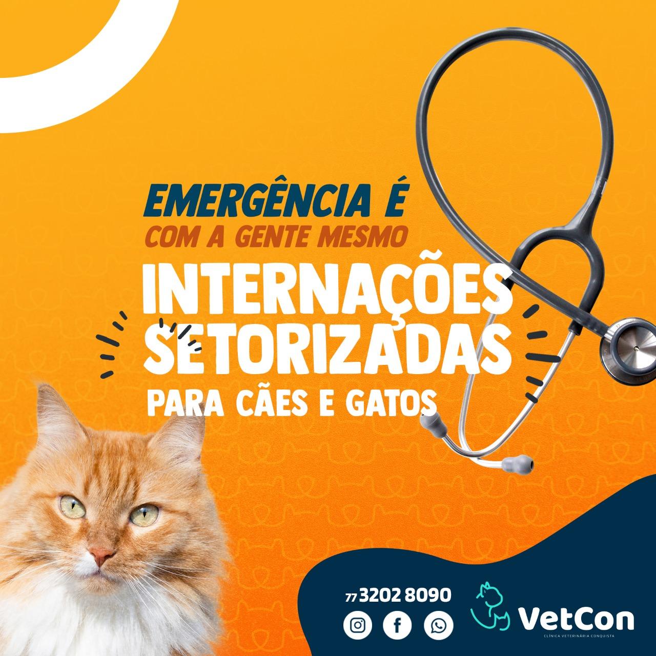 | Home | VetCon - VetCon